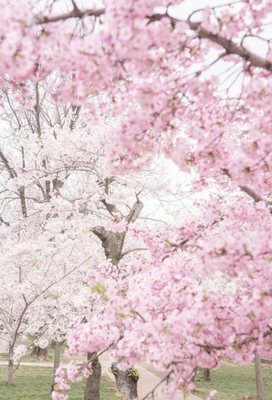 KELLY DRIVE - Updated December 2025 - 119 Photos & 58 Reviews - 10 ...