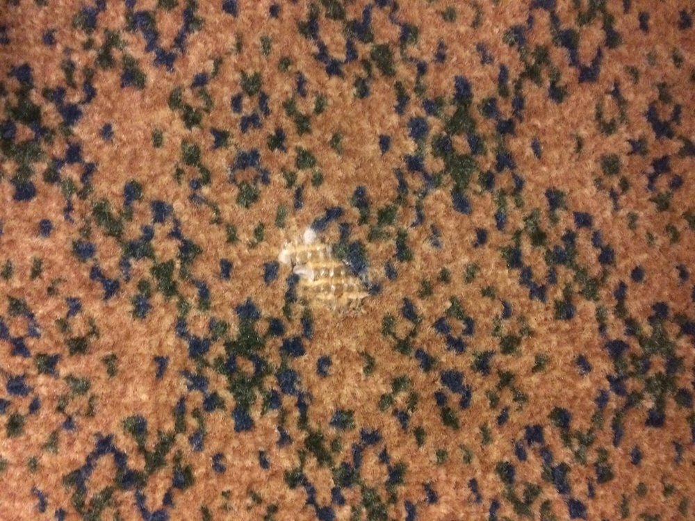 COUNTRY INN & SUITES BY CARLSON, DENVER INTERNATIONAL AIRPORT - Updated ...