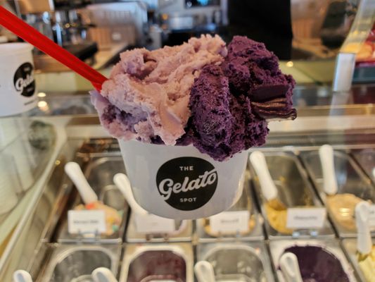 THE GELATO SPOT - Gelato at 243 E Nasa Pkwy, Webster, Texas - 21 Photos ...
