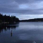 CHISM BEACH PARK - 72 Photos & 26 Reviews - 9600 SE 11th St, Bellevue ...