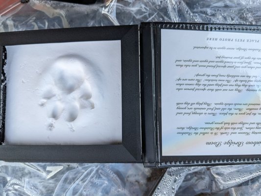 CASTRO VALLEY ANIMAL HOSPITAL - Updated December 2025 - 89 Photos & 392 ...