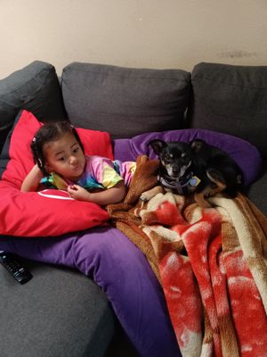 HALO ANIMAL RESCUE - Updated January 2026 - 98 Photos & 179 Reviews ...