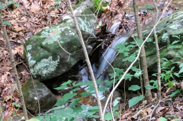 BLEVINS GAP NATURE PRESERVE - Updated November 2025 - Cecil Ashburn Dr ...