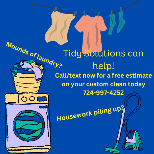 TIDY SOLUTIONS - Updated October 2025 - Canonsburg, Pennsylvania - Home ...