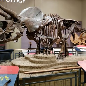 BURPEE MUSEUM OF NATURAL HISTORY - Updated November 2025 - 94 Photos ...