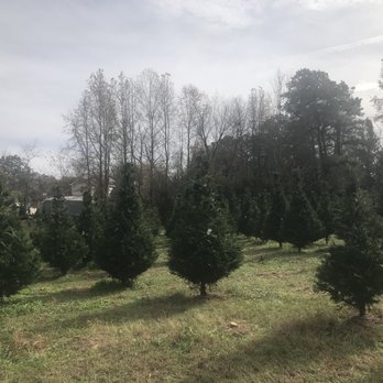 THOMPSON’S TREE FARM - Updated October 2025 - 33 Photos & 13 Reviews ...