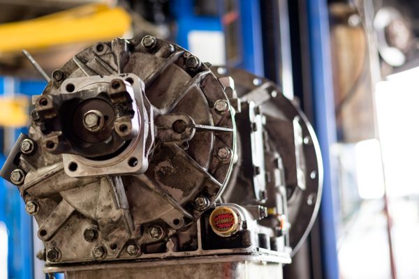 RAPTOR TRANSMISSION - Updated December 2025 - 18 Photos & 14 Reviews ...