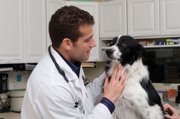 SLATON VETERINARY HOSPITAL - 39 Photos & 15 Reviews - 3900 E Thousand ...