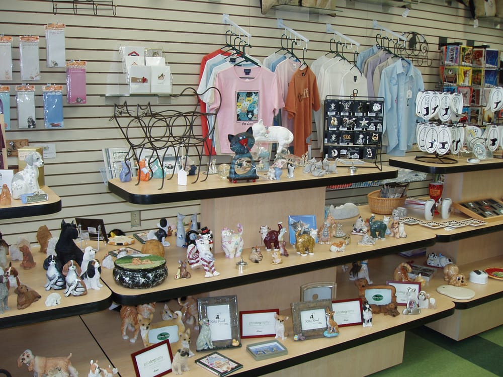 PSYCHIC KITTY - Updated May 2025 - 19 Photos - 593 Kingstown Rd ...