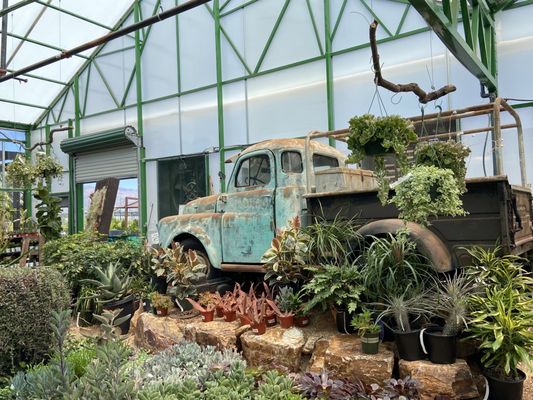 MESQUITE VALLEY GROWERS NURSERY - 413 Photos & 206 Reviews - 8005 E ...