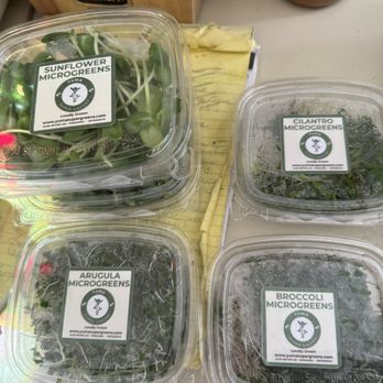 THE LEMON GROVE - Updated October 2025 - 45 Photos & 30 Reviews - 4200 ...