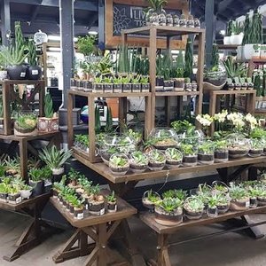 FLOWER POWER - Updated December 2025 - Castle Rd, Penrith New South ...