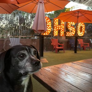 OHSO BREWERY - PARADISE VALLEY - 1071 Photos & 1008 Reviews - 10810 N ...