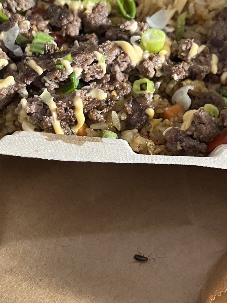 LUCKY DRAGON FRIED RICE - Updated November 2025 - North Miami, Florida ...