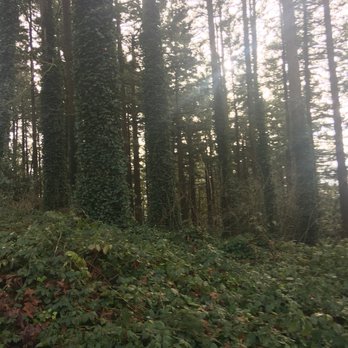 KELLY BUTTE NATURAL AREA - Updated December 2025 - 31 Photos & 11 ...