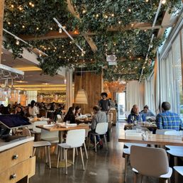 EMA - Updated October 2025 - 3683 Photos & 1868 Reviews - 74 W Illinois ...