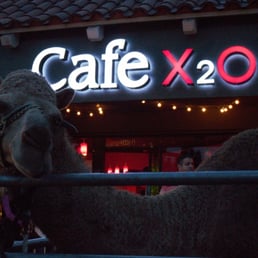 CAFE X2O, LA VERNE - Updated December 2025 - 915 Photos & 1096 Reviews ...