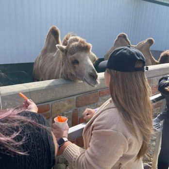 GOEBBERT’S FARM - Updated December 2025 - 341 Photos & 193 Reviews ...