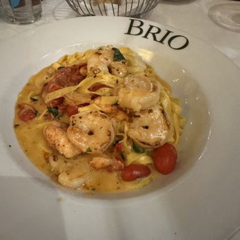 BRIO ITALIAN GRILLE - Updated May 2024 - 813 Photos & 555 Reviews ...