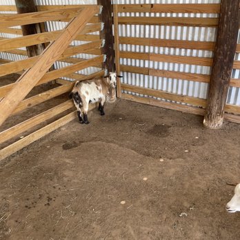 ROCKBERRY RANCH - Updated May 2024 - 91 Photos & 14 Reviews - 995W ...