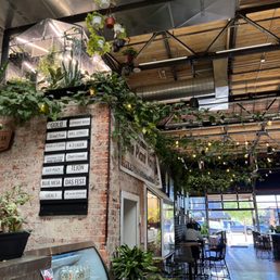 COATI UPRISE - Updated May 2025 - 271 Photos & 130 Reviews - 514 S ...