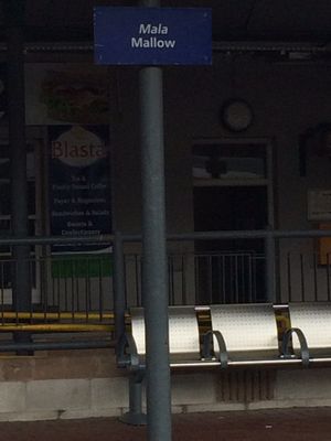 MALLOW TRAIN STATION - Train Stations - Bóthar Luimnigh, Mallow, Co ...