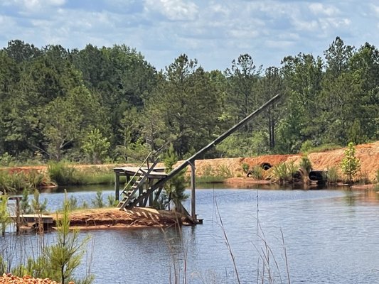 DINOSAUR ADVENTURE LAND - Updated October 2025 - 107 Photos & 17 ...