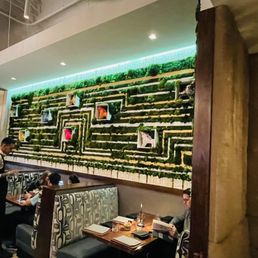 PISCO PERUVIAN GASTROBAR - Updated January 2025 - 503 Photos & 182 ...