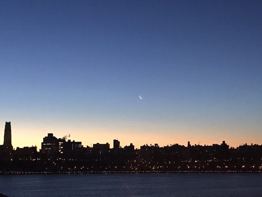 THE ALEXANDER - Updated September 2025 - 15 Photos - 100 Alexander Way ...