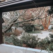 JC RAULSTON ARBORETUM - 523 Photos & 96 Reviews - 4415 Beryl Rd ...