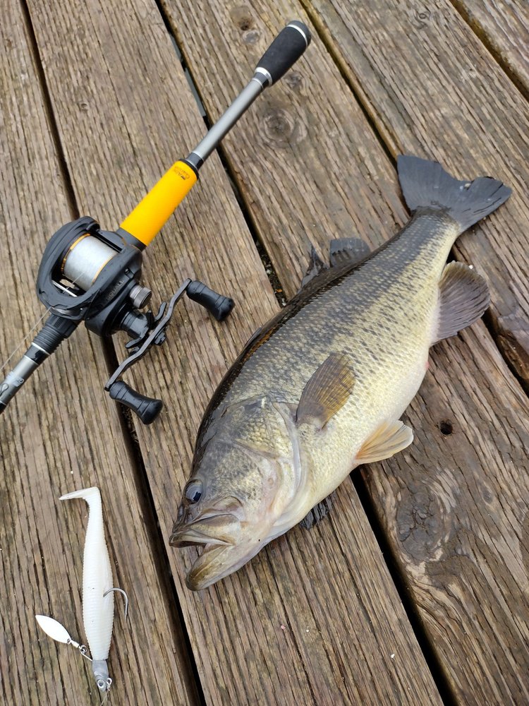 NEW COASTSIDE 2 BAIT & TACKLE - Updated April 2025 - 41 Photos & 64 ...