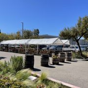 PIZZA PORT BRESSI RANCH - 562 Photos & 675 Reviews - Pizza - 2730 ...