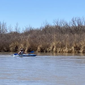 PASEO DEL BOSQUE TRAIL - Updated January 2026 - 127 Photos & 29 Reviews ...