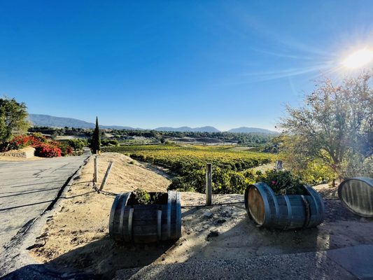 CALLAWAY VINEYARD & WINERY - 1278 Photos & 795 Reviews - 32720 Rancho ...