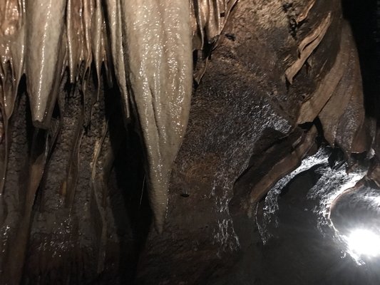 NIAGARA CAVE - 43 Photos & 18 Reviews - Tours - 29842 County Hwy 30 ...