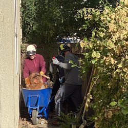 HARDIN’S TREE SERVICE - 29 Photos & 51 Reviews - Tree Services - 5716 ...