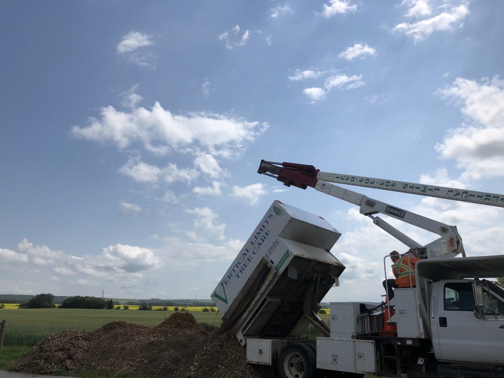 VERTICAL LIMITS TREE CARE - 315 Barrett Dr, Red Deer, Alberta, Canada ...