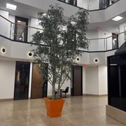 REVIVE RX PHARMACY - Updated October 2025 - 10 Photos & 19 Reviews ...