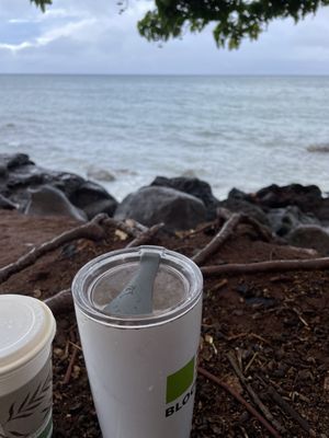 POHAKU PARK S-TURNS - Updated September 2025 - 52 Photos & 15 Reviews ...