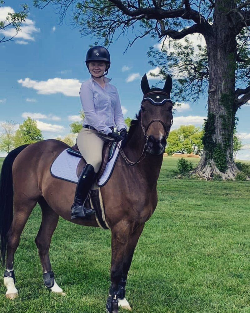 MACKENZIE GWIN EQUESTRIAN - Yelp