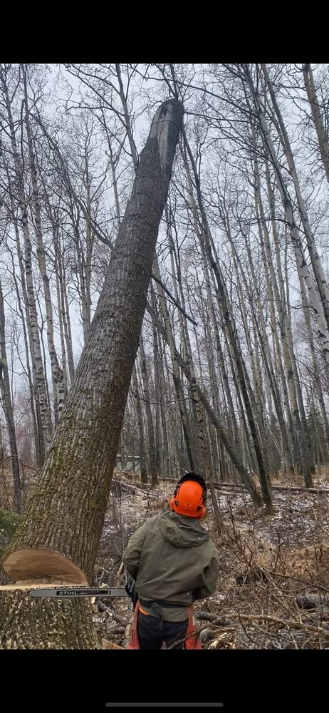 FAR NORTH TREE SERVICES - Updated July 2025 - 35 Photos - Wasilla ...