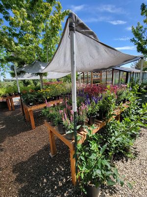 MOUNTAIN VIEW TREE FARM - Updated November 2025 - 40 Photos & 12 ...