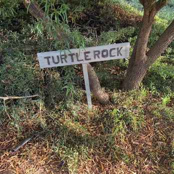 TURTLE ROCK VIEWPOINT TRAIL - Updated December 2025 - 255 Photos & 140 ...