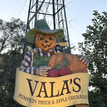 VALA’S PUMPKIN PATCH - Updated October 2025 - 436 Photos & 192 Reviews ...