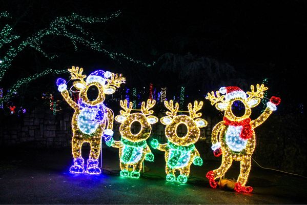 STONE ZOO - Updated August 2025 - 235 Photos & 208 Reviews - 149 Pond ...