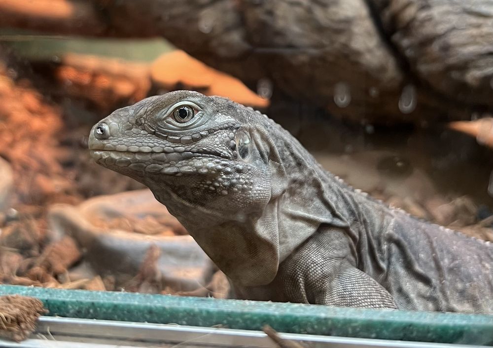 PET PLANET - Updated December 2025 - 30 Photos & 11 Reviews - 272 S ...