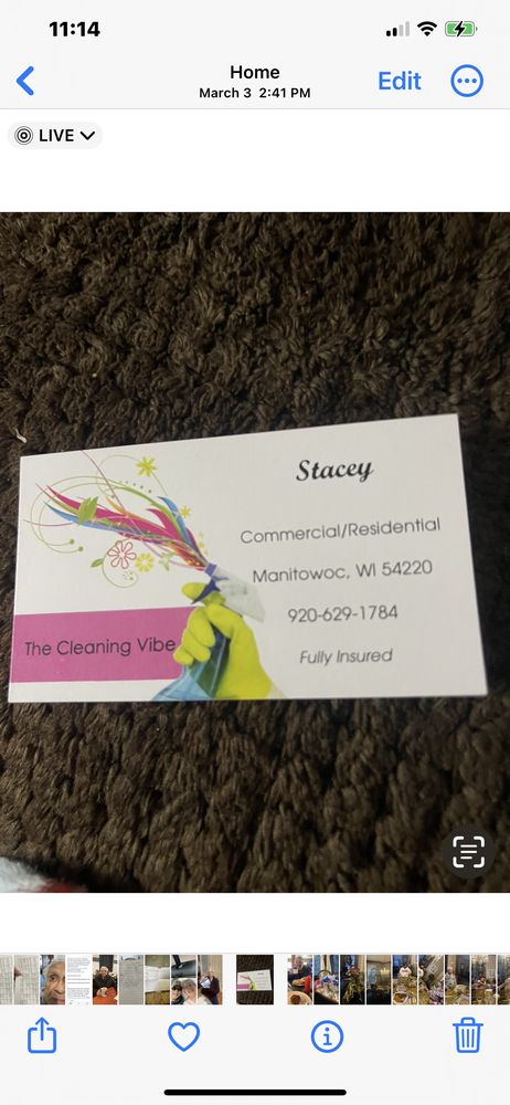 THE CLEANING VIBE - Updated March 2025 - Manitowoc, Wisconsin - Office Cleaning - Phone Number ...