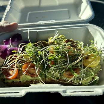 HOLA CAFECITO - Updated October 2025 - 145 Photos & 70 Reviews - 316 N ...