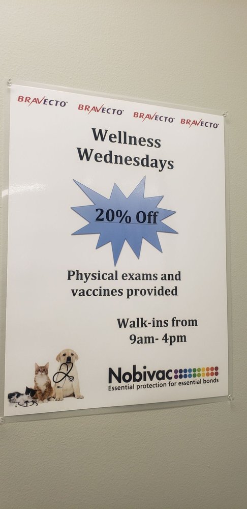 PETWORKS EXPRESS - 14 Photos & 56 Reviews - 11326 Westheimer Rd ...