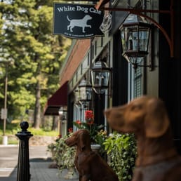 WHITE DOG CAFE - HAVERFORD - Updated December 2025 - 408 Photos & 330 ...